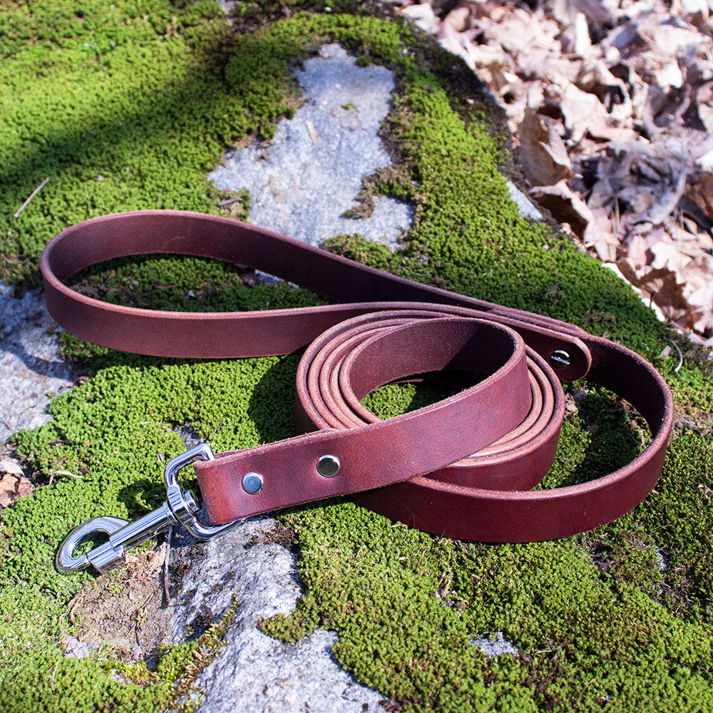 Traditional Series Classic Leather Dog Leash - Full Leather ...